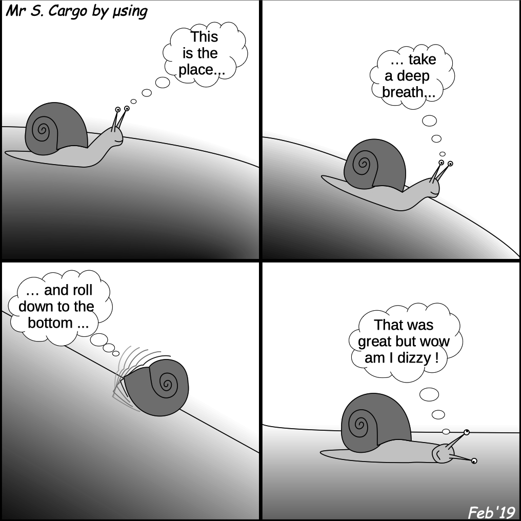 Forward Roll – Musing